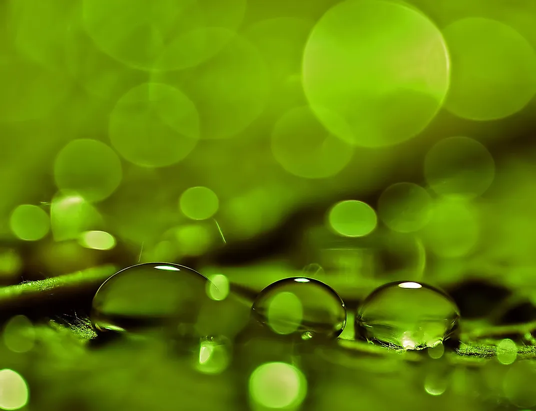 Rain | Smithsonian Photo Contest | Smithsonian Magazine