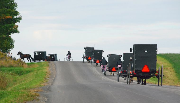 Mennonite carriages heading to worship | Smithsonian Photo Contest ...