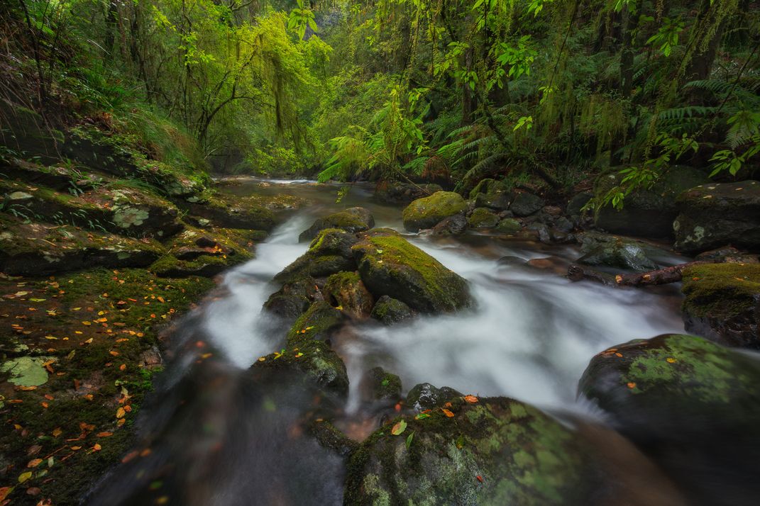 Hidden Beauty | Smithsonian Photo Contest | Smithsonian Magazine
