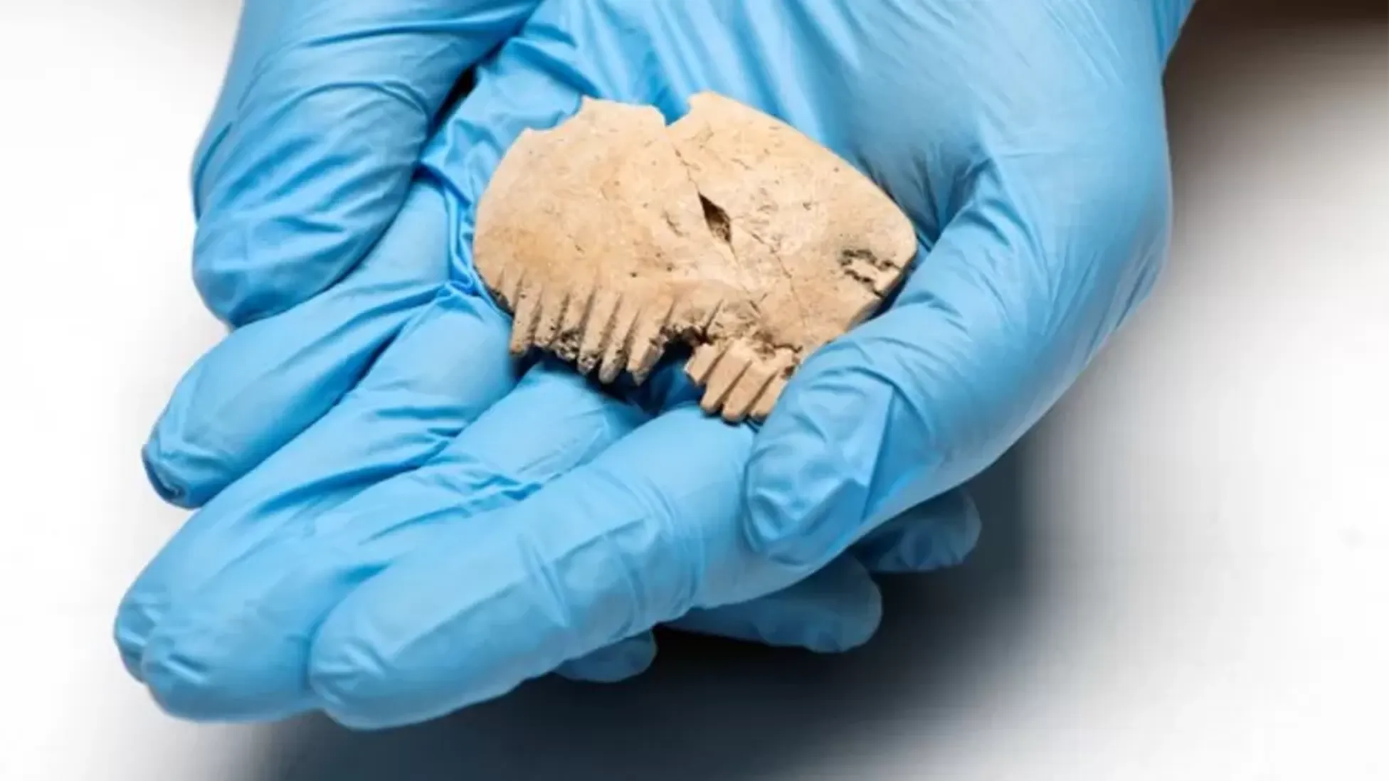 Ancient Comb Made From Human Skull Unearthed in England