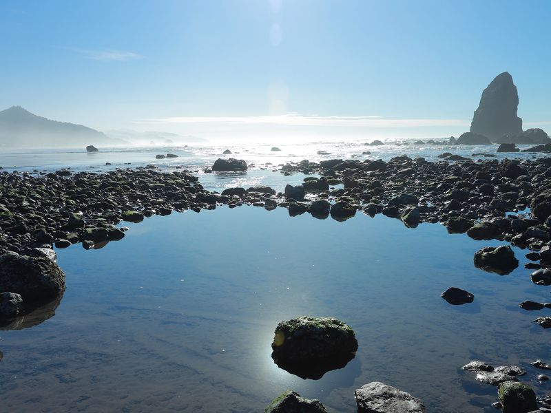 Tidal Pool at Cannon Beach, Canon EOSR | Smithsonian Photo Contest ...