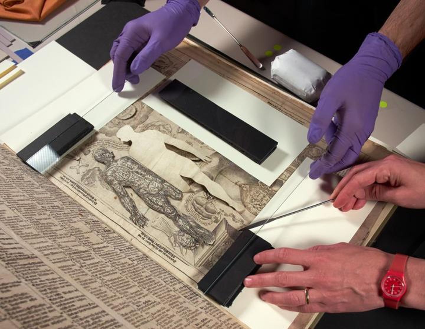 Check Out a Medical Pop-Up Book From the 17th Century