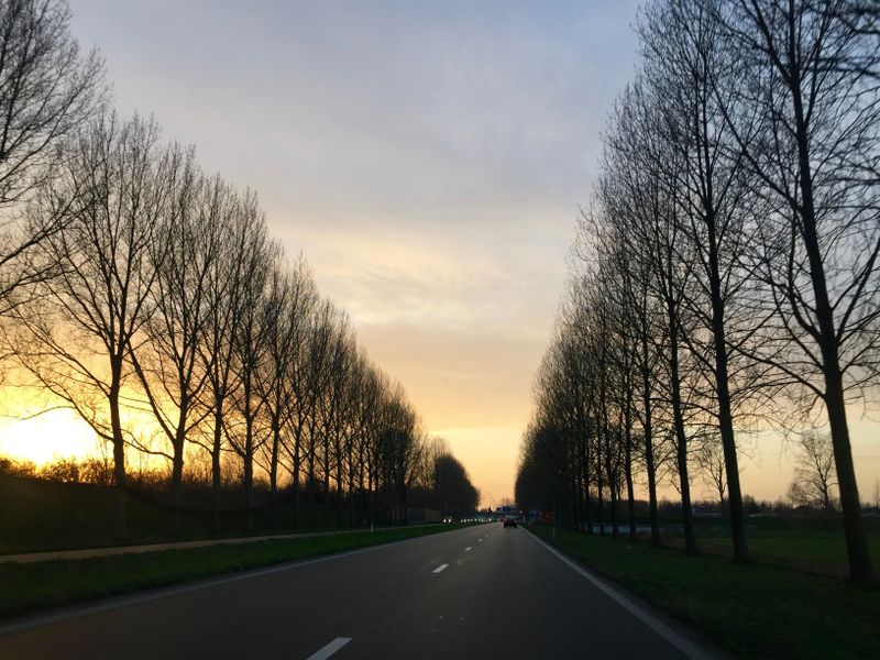 Dutch fire | Smithsonian Photo Contest | Smithsonian Magazine