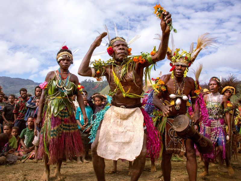 Frenetic dance with flowers | Smithsonian Photo Contest | Smithsonian ...