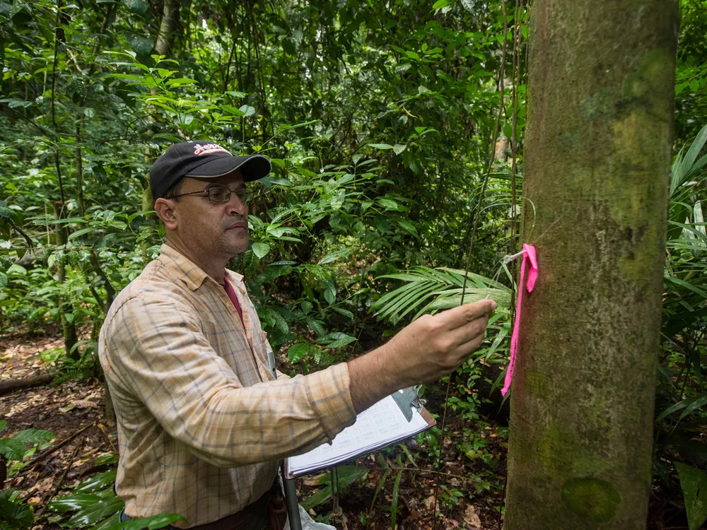 Barro Colorado Island, One Hundred Years of Science and Discoveries ...