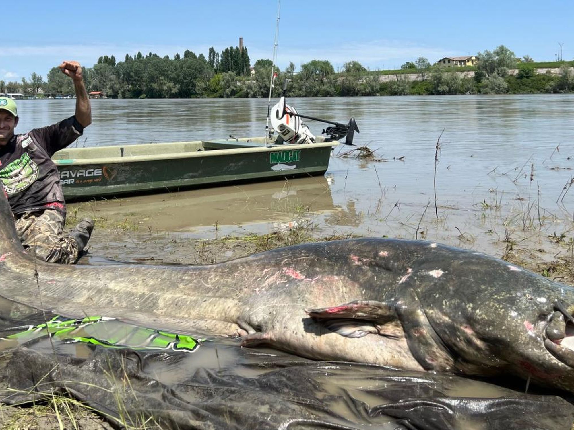 Fisherman Reels in 'Monster' Nine-Foot Catfish in Italy