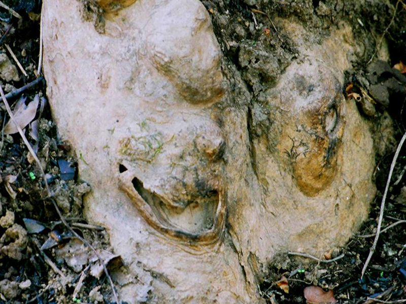 The One-Eyed Man | Smithsonian Photo Contest | Smithsonian Magazine