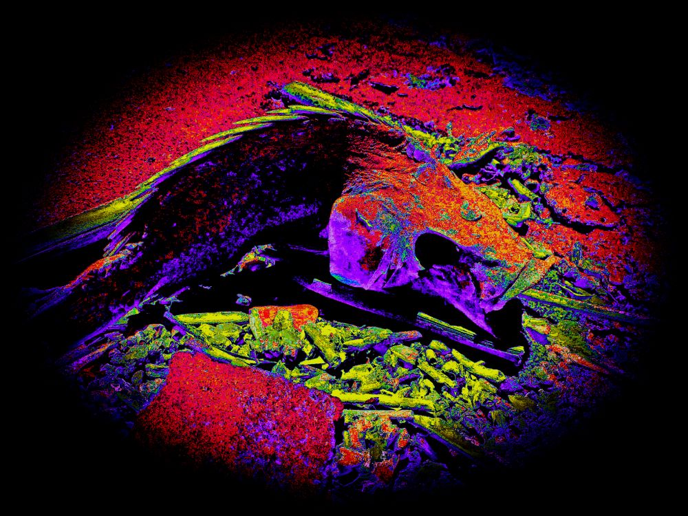 Skull fish | Smithsonian Photo Contest | Smithsonian Magazine