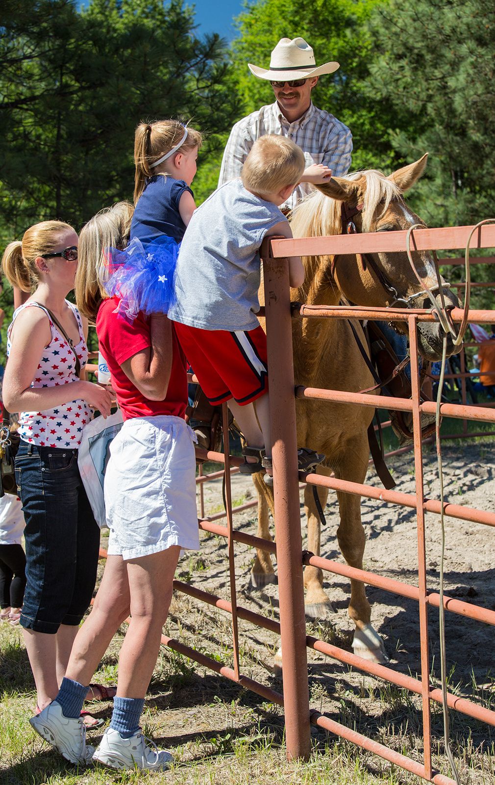 children petting the cowboy's horse at Fourth of July Rodeo ...