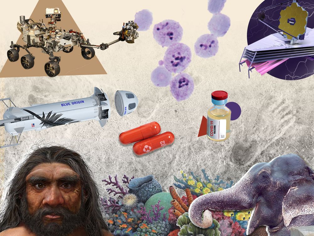 The Ten Most Significant Science Stories of 2021