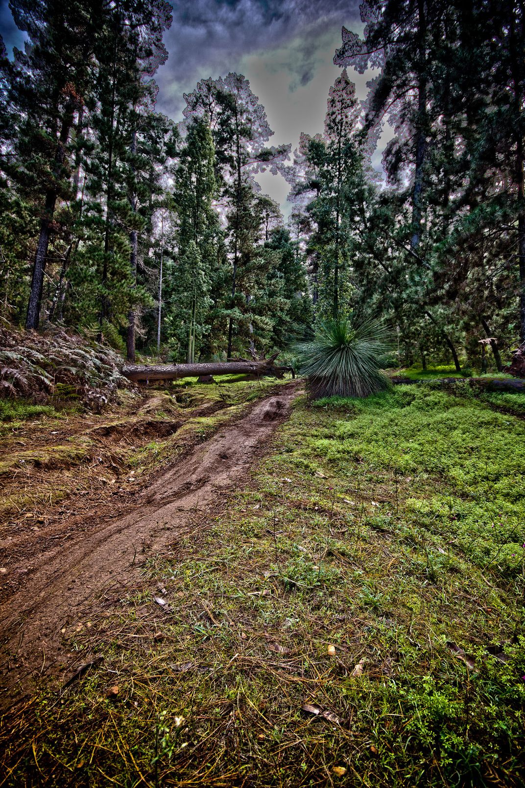 The mountain bike life | Smithsonian Photo Contest | Smithsonian Magazine