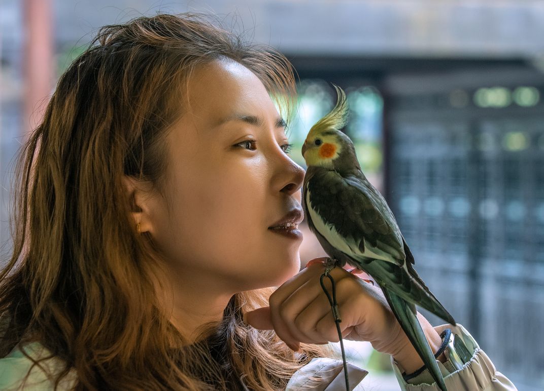 beautiful girl and a bird | Smithsonian Photo Contest | Smithsonian ...