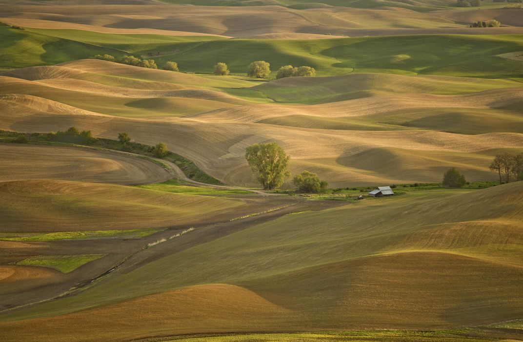 Steptoe Butte in the Palouse Valley at sunset. | Smithsonian Photo ...