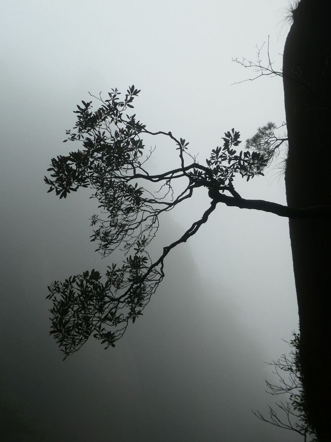 Rainy Weather makes for Great Photography | Smithsonian Photo Contest ...