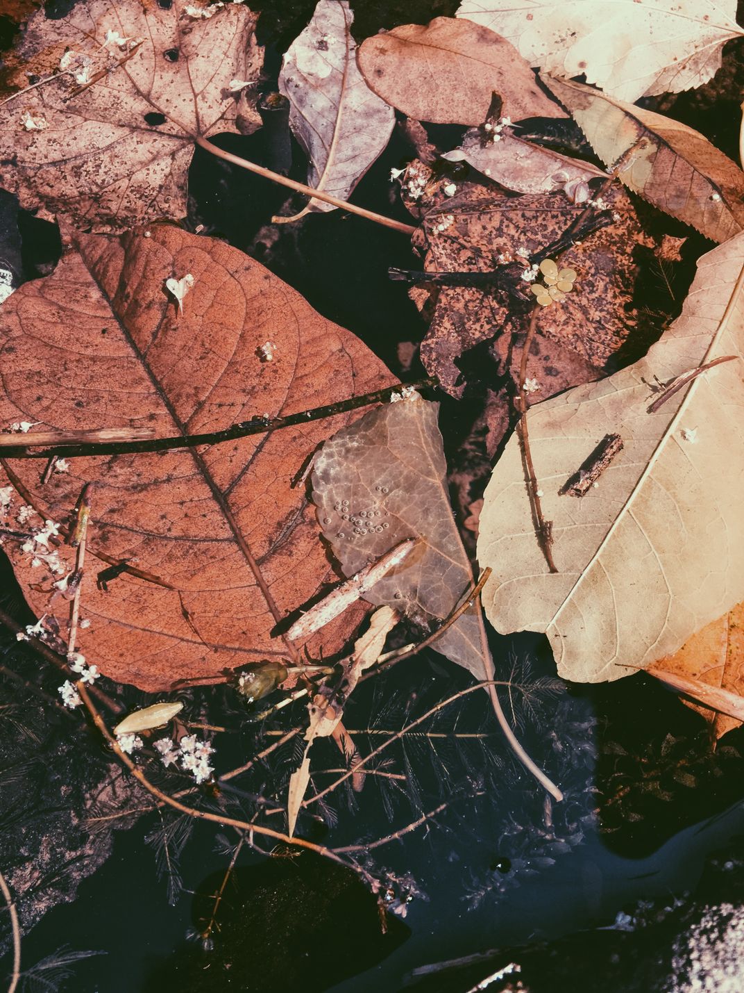 Autumn | Smithsonian Photo Contest | Smithsonian Magazine