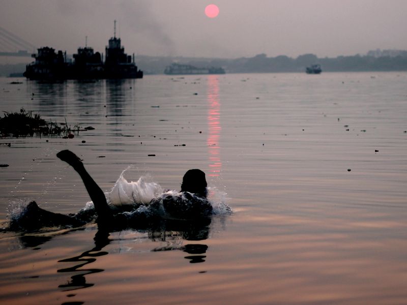 Sunset swim ! in the river Ganges , Calcutta , India | Smithsonian ...