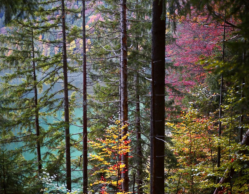 Smithsonian Magazine Daily Newsletter