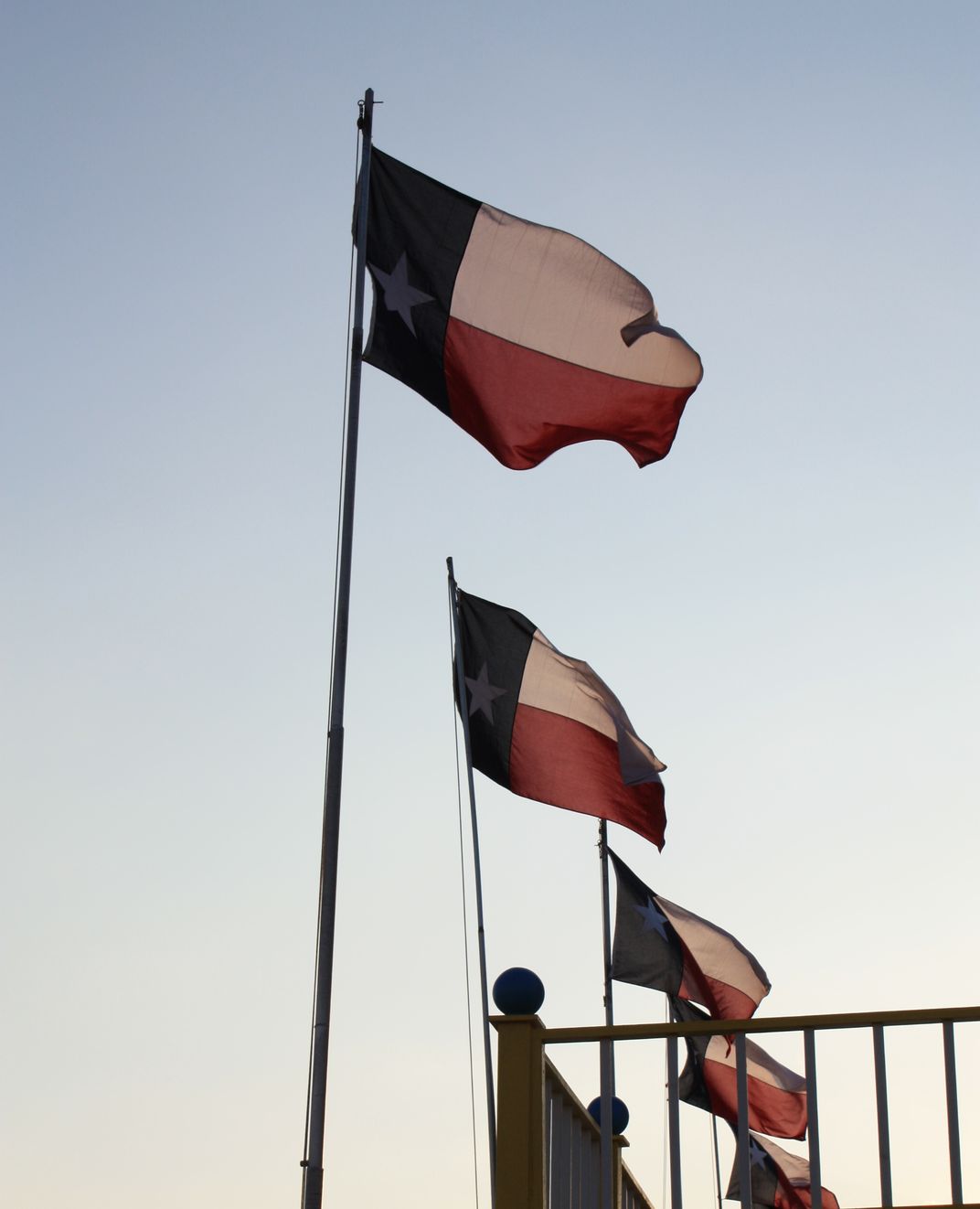 Texas pride flying high | Smithsonian Photo Contest | Smithsonian Magazine