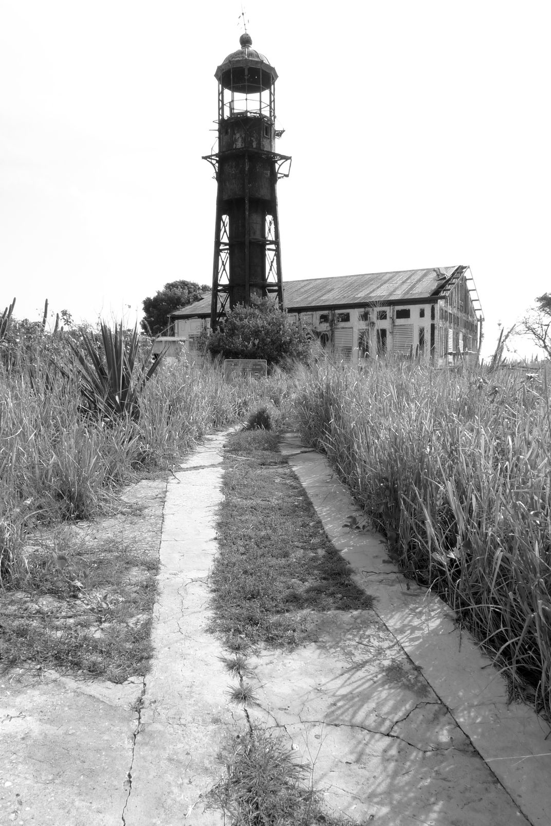 The Old Lighthouse on remote Mona Island, Puerto Rico | Smithsonian ...