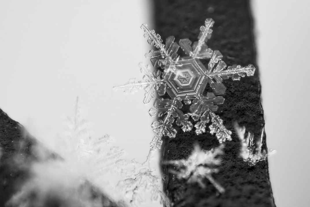 Snowflake #1 | Smithsonian Photo Contest | Smithsonian Magazine