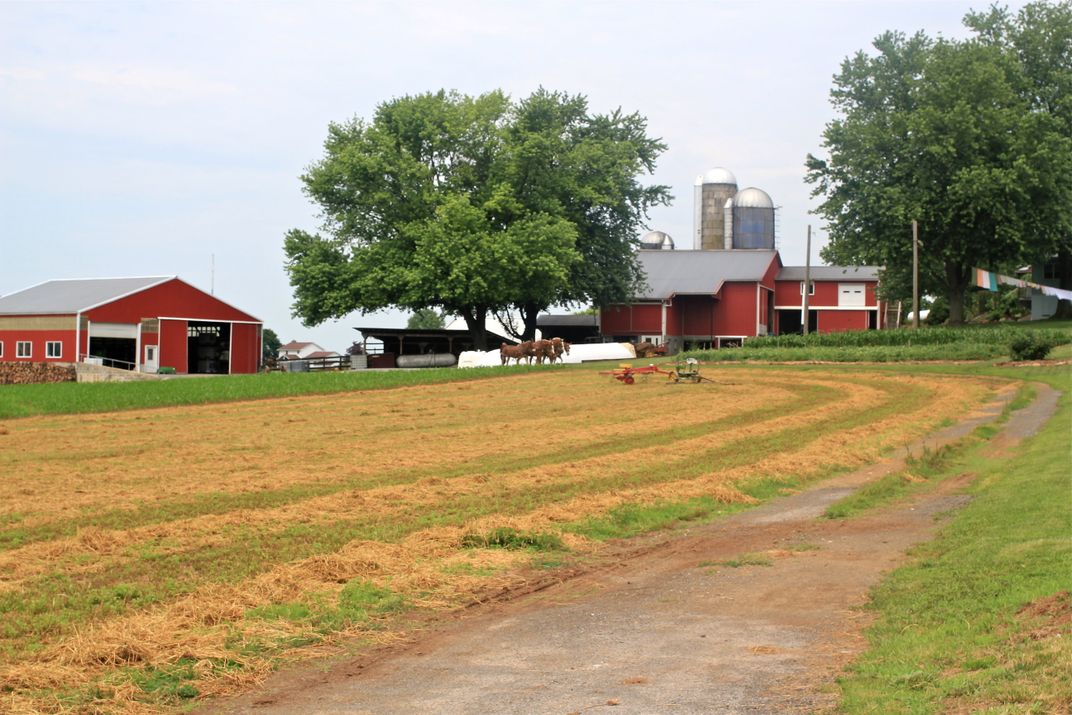 Heading out to plow on a Mennonite farm | Smithsonian Photo Contest ...