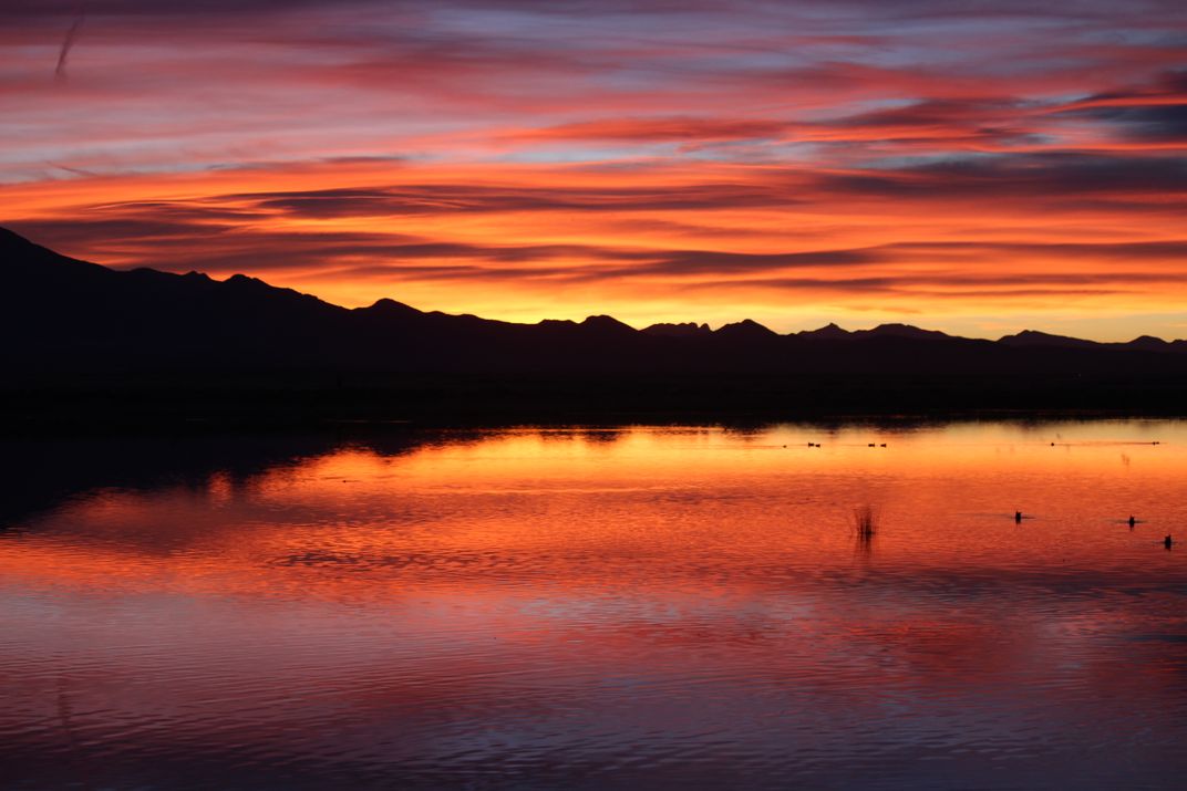Amazing Arizona Sunrise | Smithsonian Photo Contest | Smithsonian Magazine