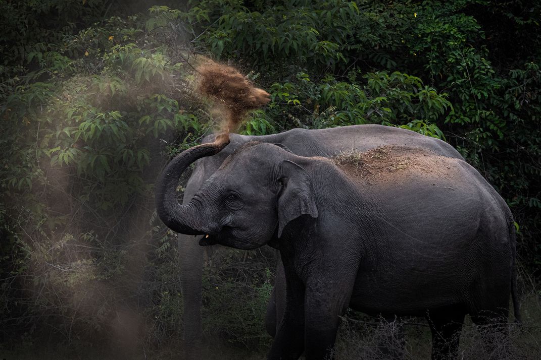 Dust Blower | Smithsonian Photo Contest | Smithsonian Magazine
