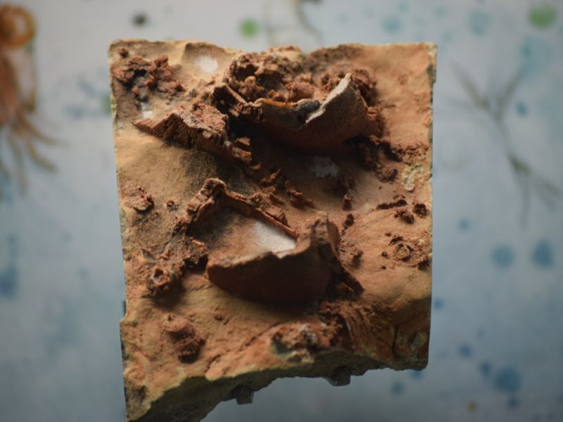 Historic rock | Smithsonian Photo Contest | Smithsonian Magazine