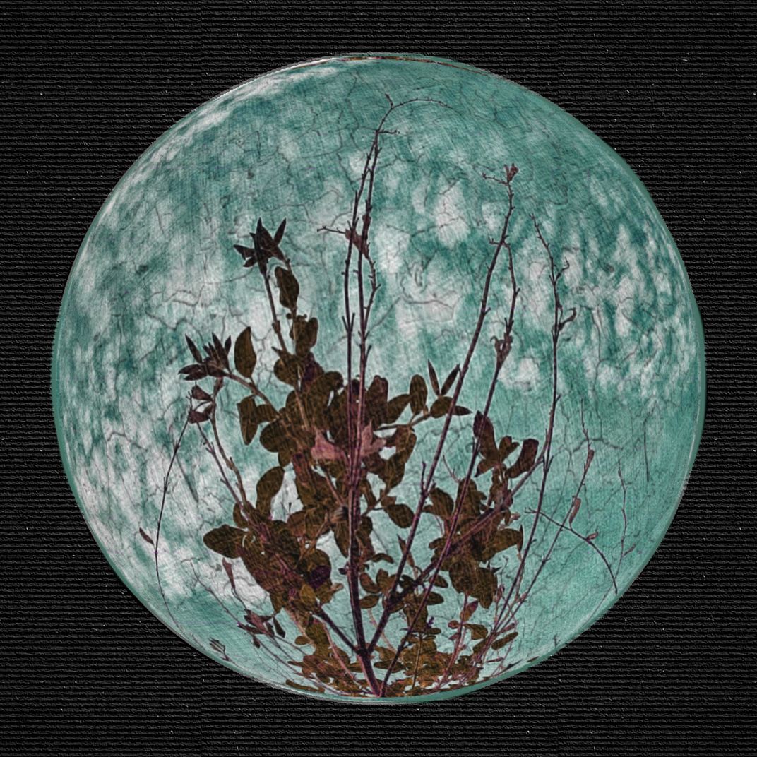 Internal vision of the moon and stars. | Smithsonian Photo Contest ...