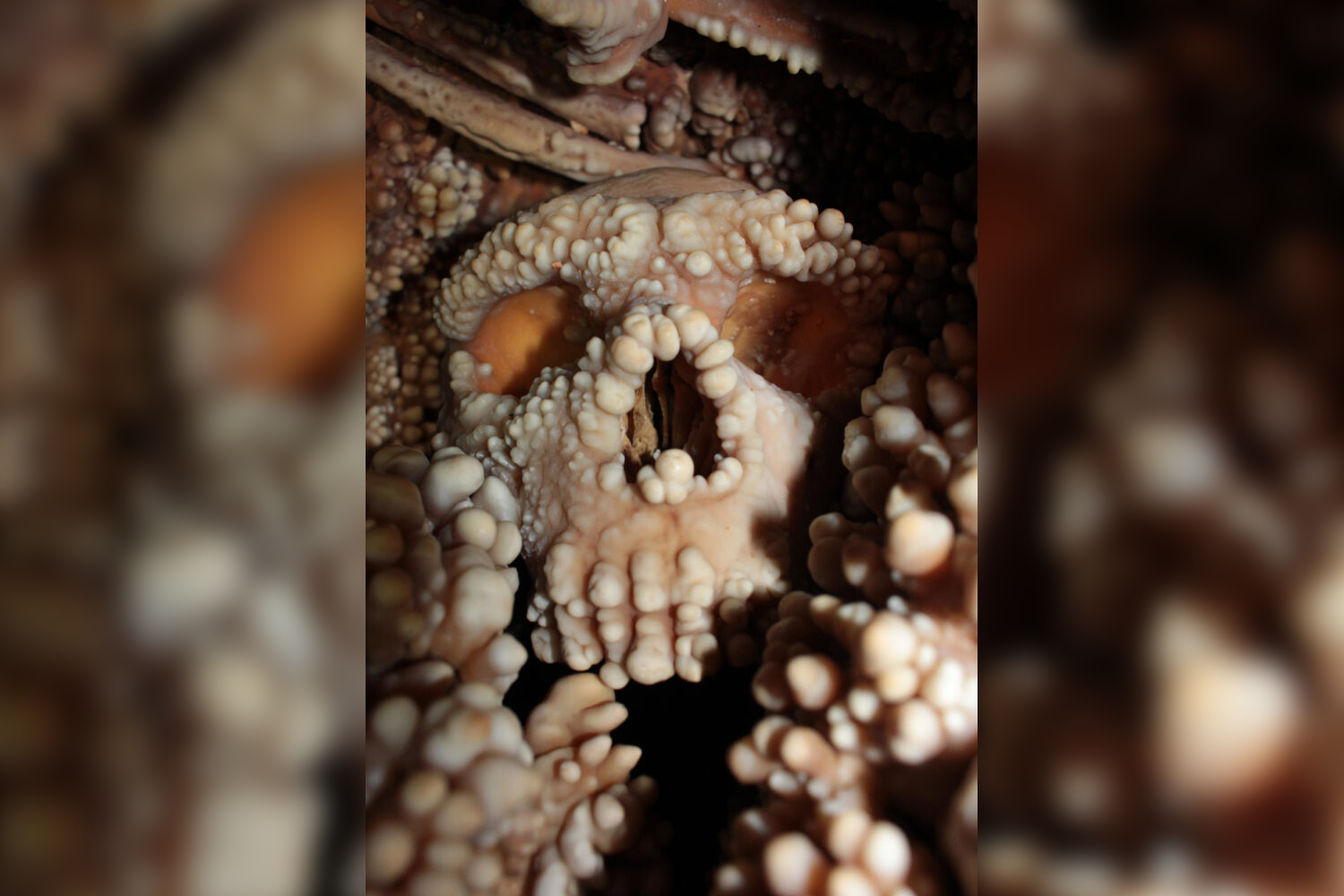 Stunningly Well-Preserved Neanderthal Skull Suggests the Species' Large ...