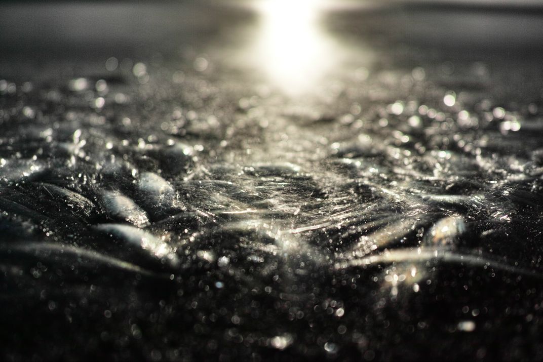 Washed-up fish makes a silver line on the shore on the night of the ...