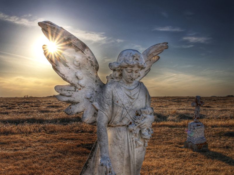 Wings of a Angel | Smithsonian Photo Contest | Smithsonian Magazine