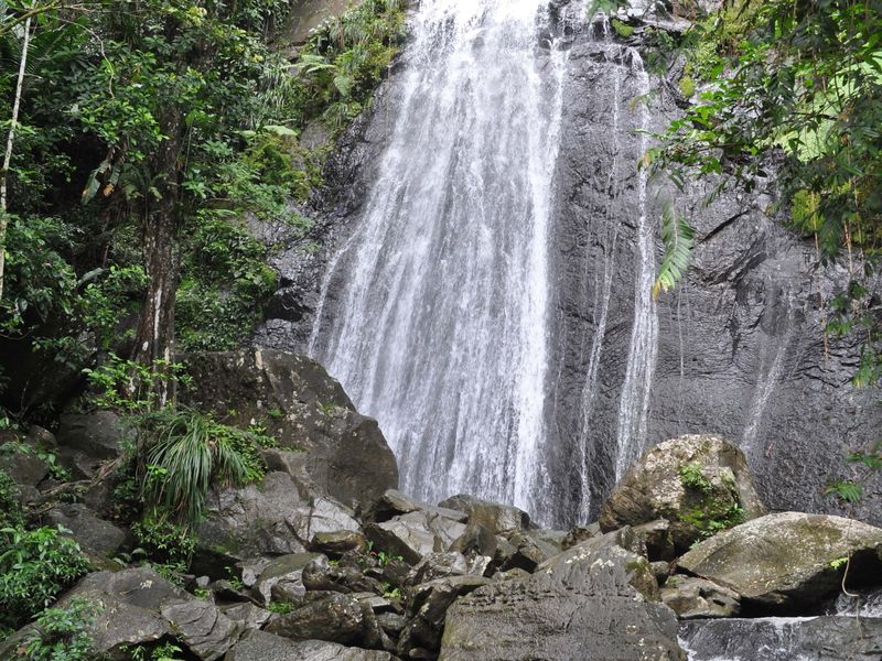Water fall in El Yunque rain forest in Puerto Rico | Smithsonian Photo ...