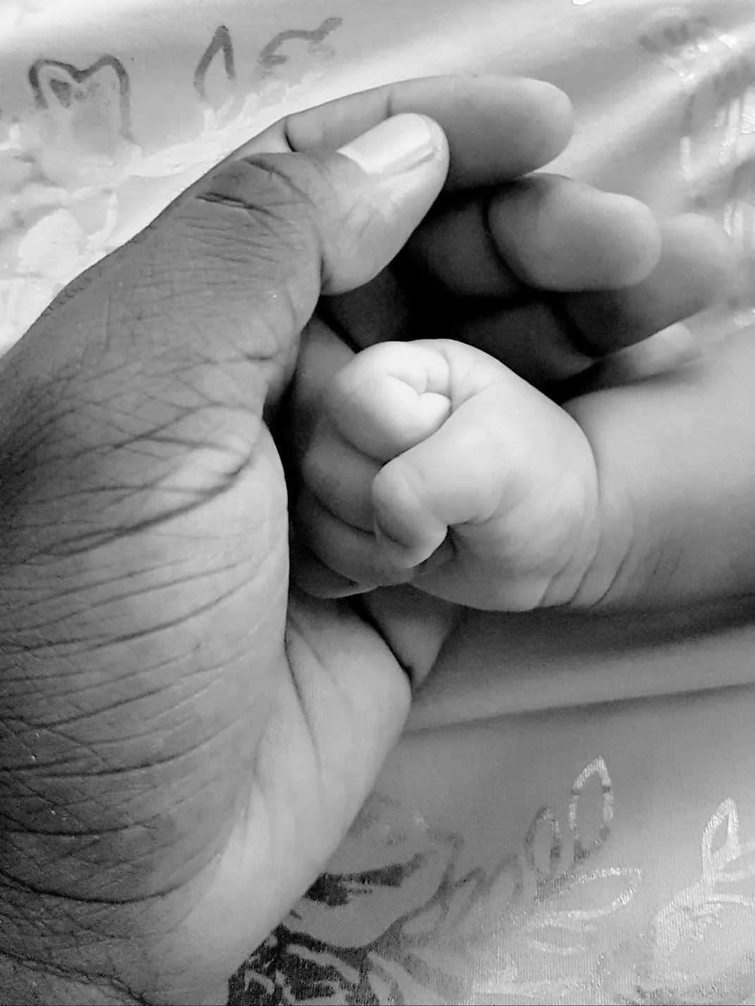 Little Hand, Big Hand | Smithsonian Photo Contest | Smithsonian Magazine