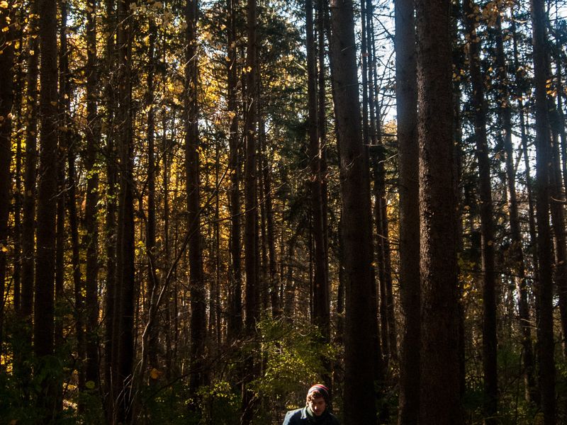 Stepping Through The Guardian Trees | Smithsonian Photo Contest ...