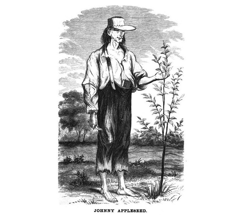 The Real Johnny Appleseed Brought Apples—and Booze—to the American Frontier