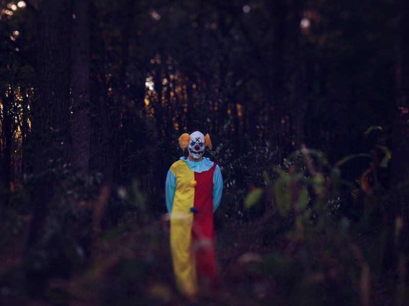 lone clown in the woods | Smithsonian Photo Contest | Smithsonian Magazine