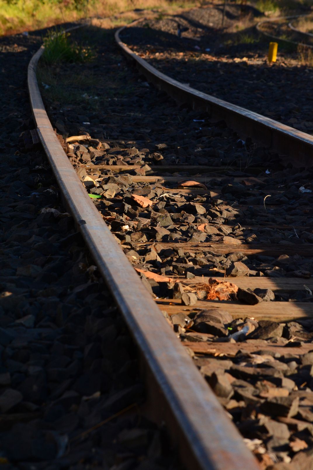 The rails of life | Smithsonian Photo Contest | Smithsonian Magazine