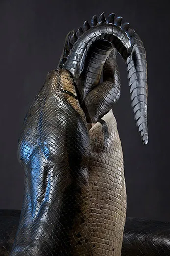 largest snake skeleton ever found