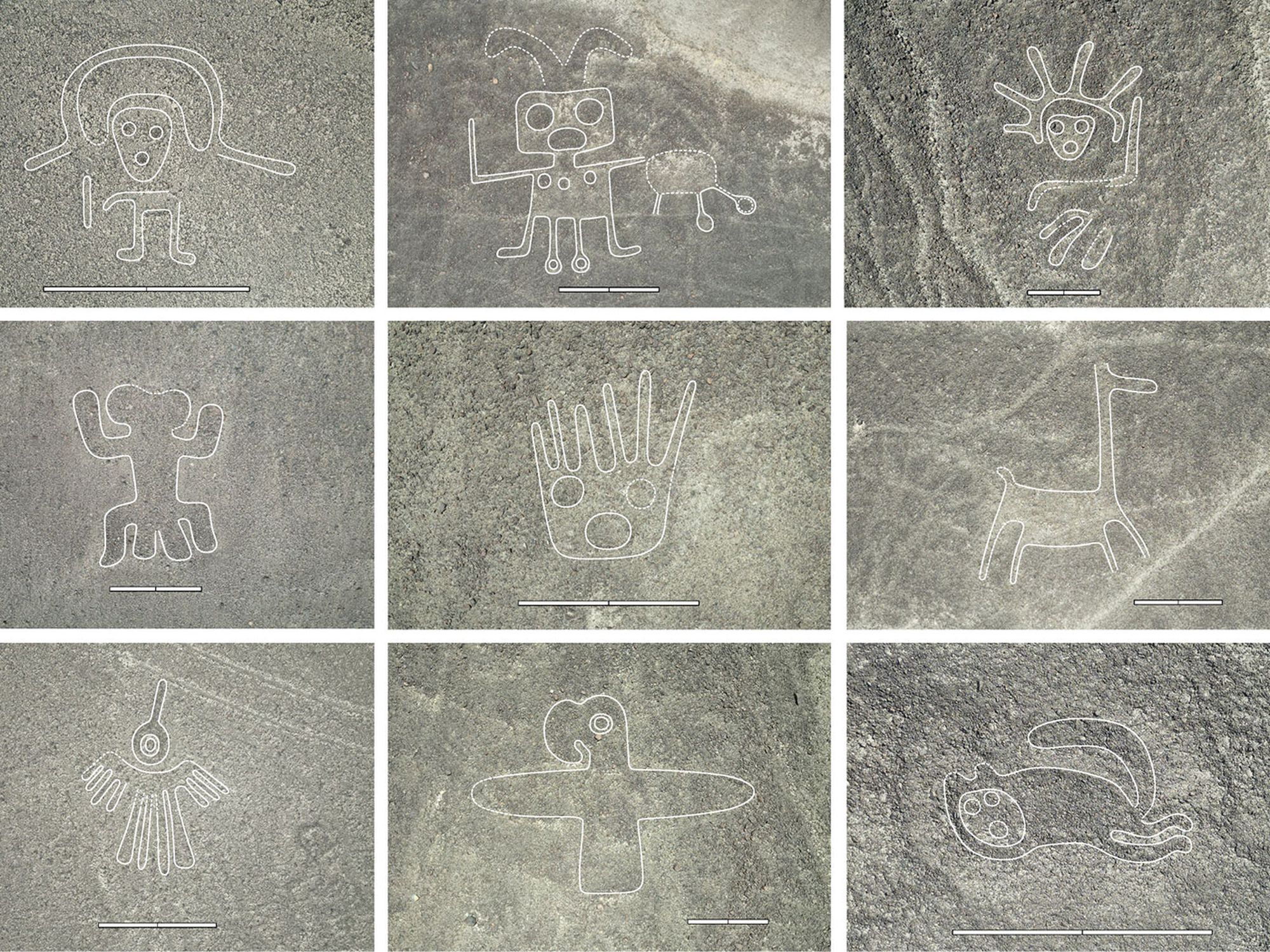 See Newly Discovered Nazca Drawings That Depict Llamas, Human ...