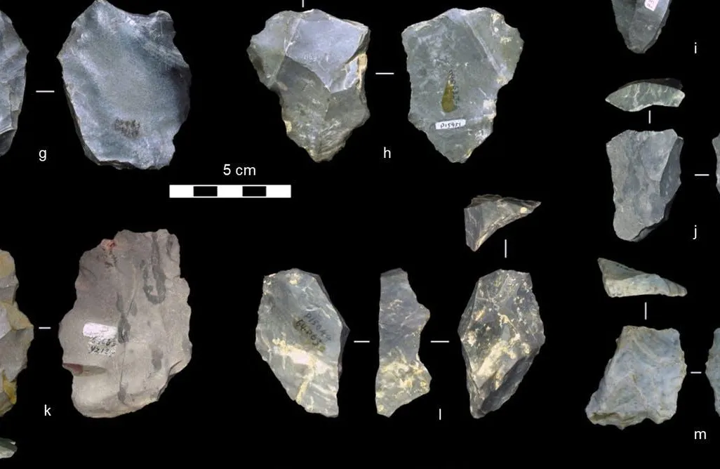 paleolithic tools nyt