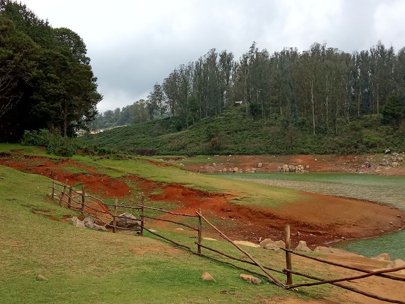 side view of a forest | Smithsonian Photo Contest | Smithsonian Magazine