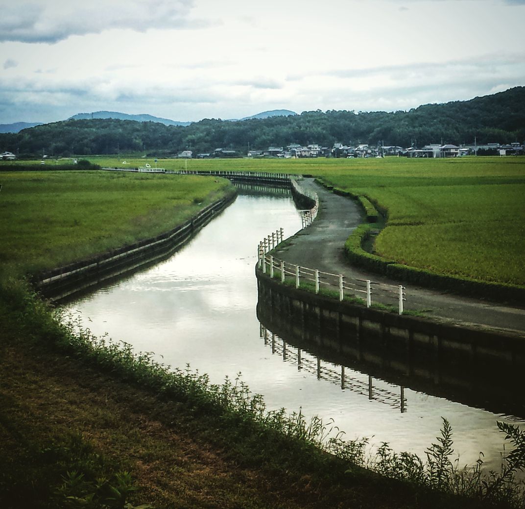 Rice fields along bike path in Soja, Okayama, Japan | Smithsonian Photo ...