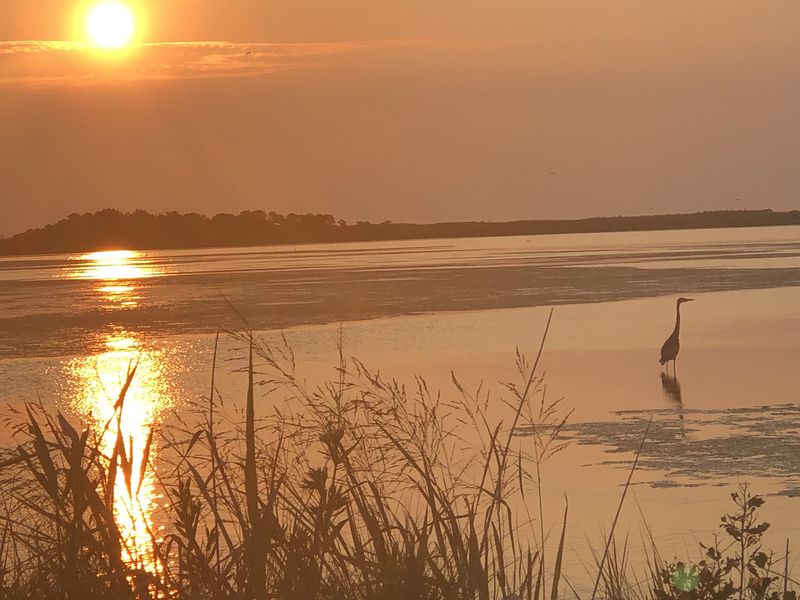 Early morning on Gordon Pond | Smithsonian Photo Contest | Smithsonian ...
