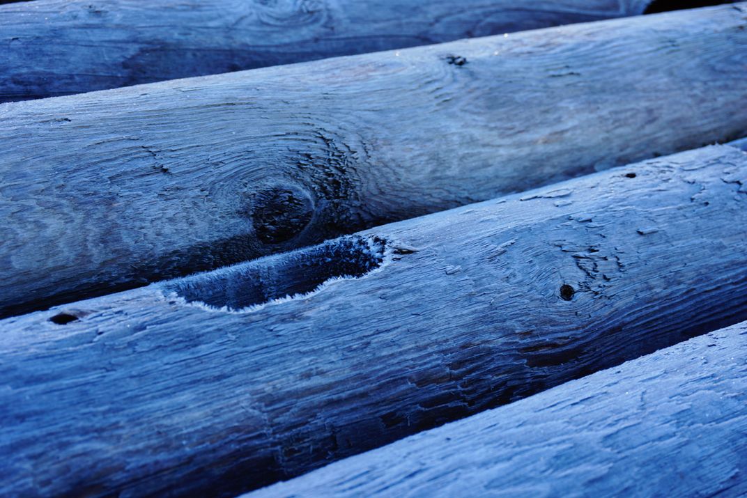 frost (sans Robert) | Smithsonian Photo Contest | Smithsonian Magazine