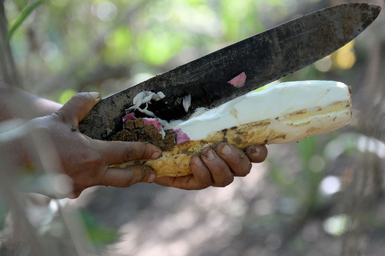 Through Much of Human History, Women Have Shaped Evolution Through Food ...