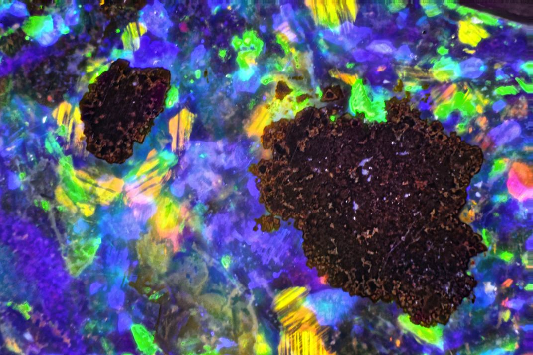 Boulder Opal, Lost in Space | Smithsonian Photo Contest | Smithsonian ...