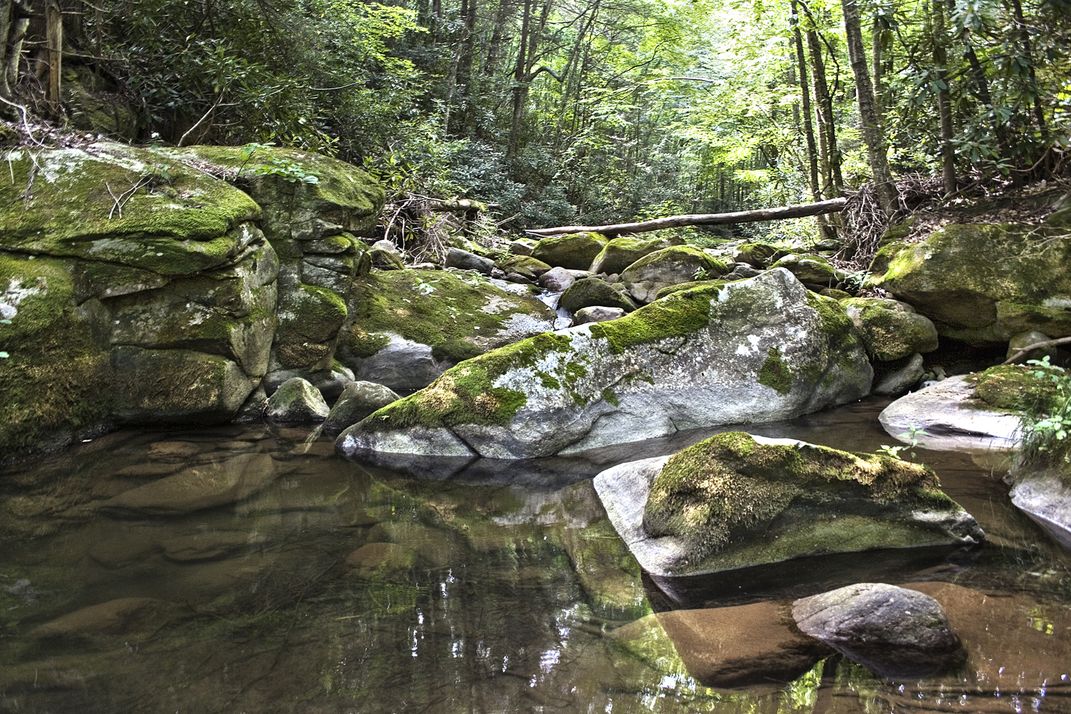 A creek in the Blue Ridge Mountains of North Carolina | Smithsonian ...