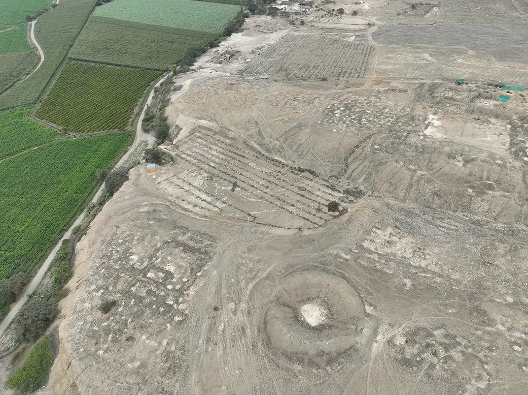 This Colorful Mural of Stars and Fish Is the First of Its Kind Found on ...