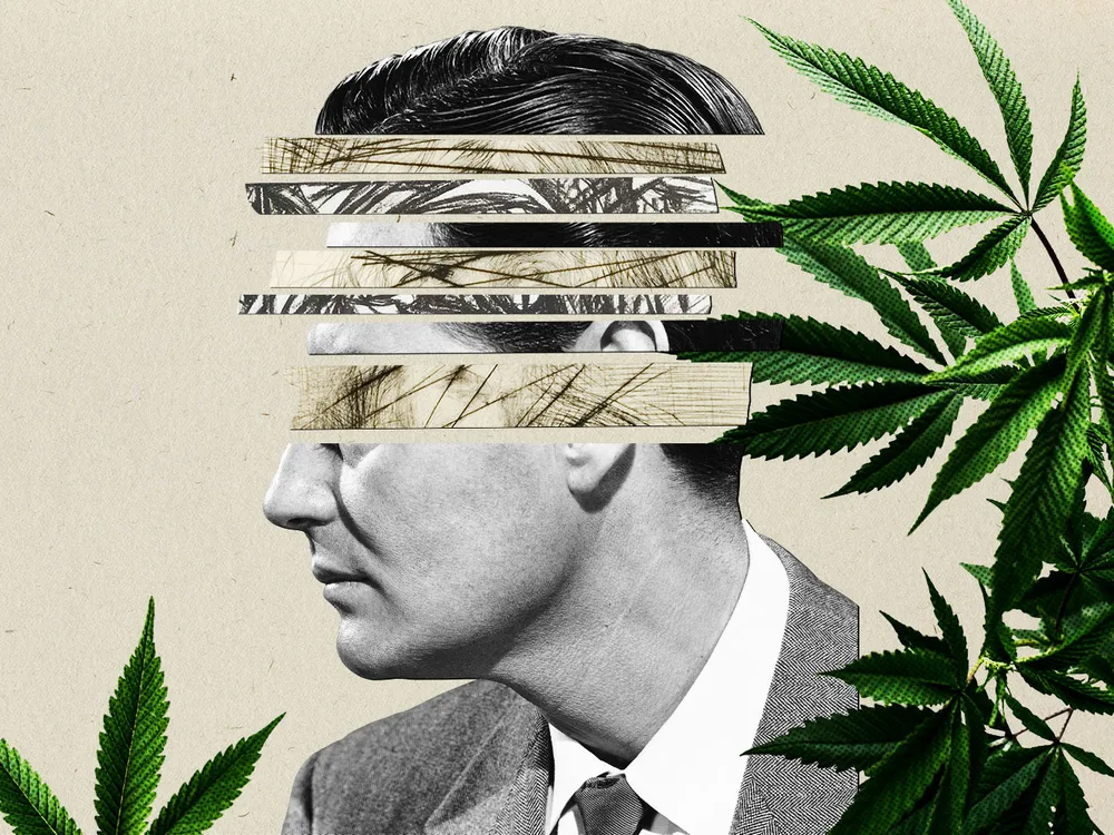 Inside the Quest to Understand the Link Between Cannabis and Schizophrenia